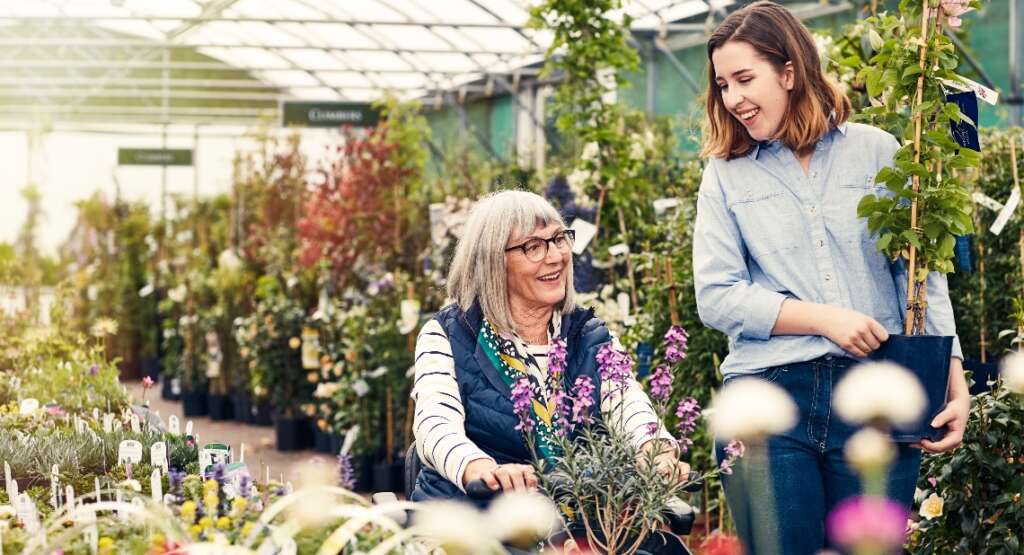 Insurance - Motability Scheme